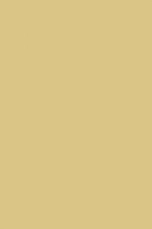Farrow and Ball Hay No. 37 Paint | Alexander Interiors,Designer Fabric ...